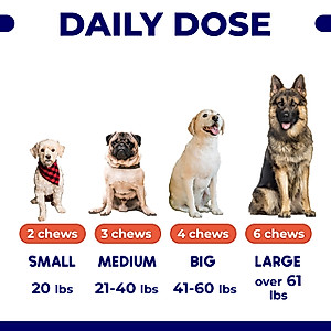 GOODGROWLIES Omega 3 Fish Oil for Dogs (360Ct) - Skin&Coat Chews - Dry & Itchy Skin Relief + Allergy Support - Shiny Coat - EPA&DHA Fatty Acids - Salmon Oil Chews Promotes Heart, Hip & Joint Support