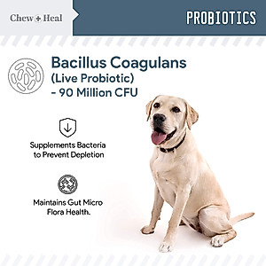 Digestive Enzymes and Probiotics and Cranberry UTI Support for Dogs - Supports Healthy Digestive Tract, Helps Nutrient Absorption - Healthy Urinary Tract and Bladder Function - 120 Soft Chews Each