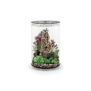 biOrb Bonsai Ball Black