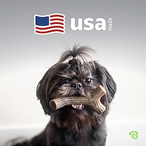Benebone Small 4-Pack Dog Chew Toys for Aggressive Chewers, Made in USA, 30lbs and Under