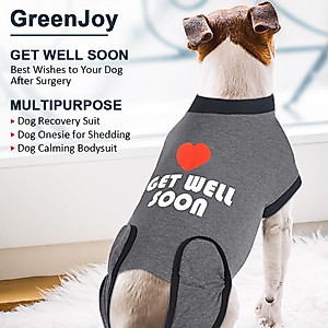 GreenJoy Get-Well-Soon Dog Surgery Recovery Suit - Soft Breathable Dog Onesie Post-Spay/Neuter, Anti-Licking Dog Bodysuit for Small, Medium, Large Dogs (Grey, M)