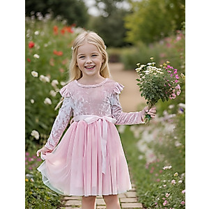 Flofallzique Girls Tutu Dress Long Sleeves Toddler Velvet Tulle Dresses for Birthday Party (2, Dusty Pink)
