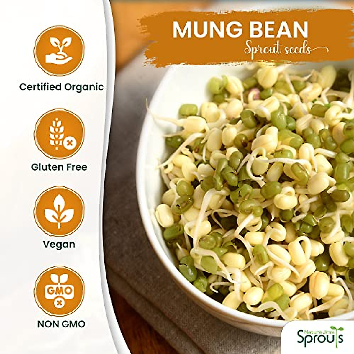 Nature Jims Mung Bean Sprout Seeds – 16 Oz Sprouting Seeds – Premium Mung Bean Seeds – NON GMO- Resealable Bag for Longer Freshness – Rich in Vitamins, Minerals, Fiber