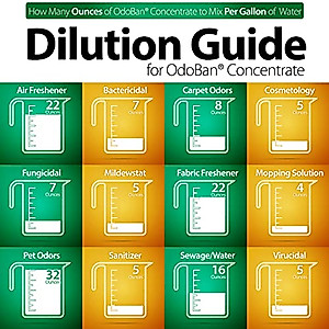 OdoBan Disinfectant Concentrate and Odor Eliminator, 4 Gallons, Original Eucalyptus Scent
