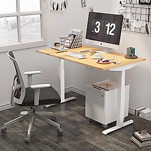 ALFA FURNISHING Advanced 48x30 Inches Standing Desk for Home Office, Dual Motor Electric Adjustable Height Desk, Sit Stand Desk with 4 Pre-Set Memory (48x30, Maple Top + White Frame Dual Motor)