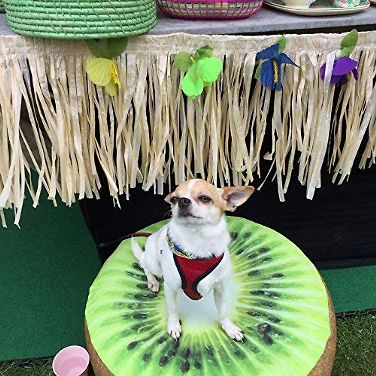 Amscan Luau Raffia Table Fringe, Tiki Party Supplies, 12" x 24', 1 pc