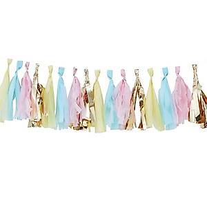 Ginger Ray Pastel Blue, Pink & Gold Tassel Hanging Garland 2 Meters Pick & Mix, Multicolour