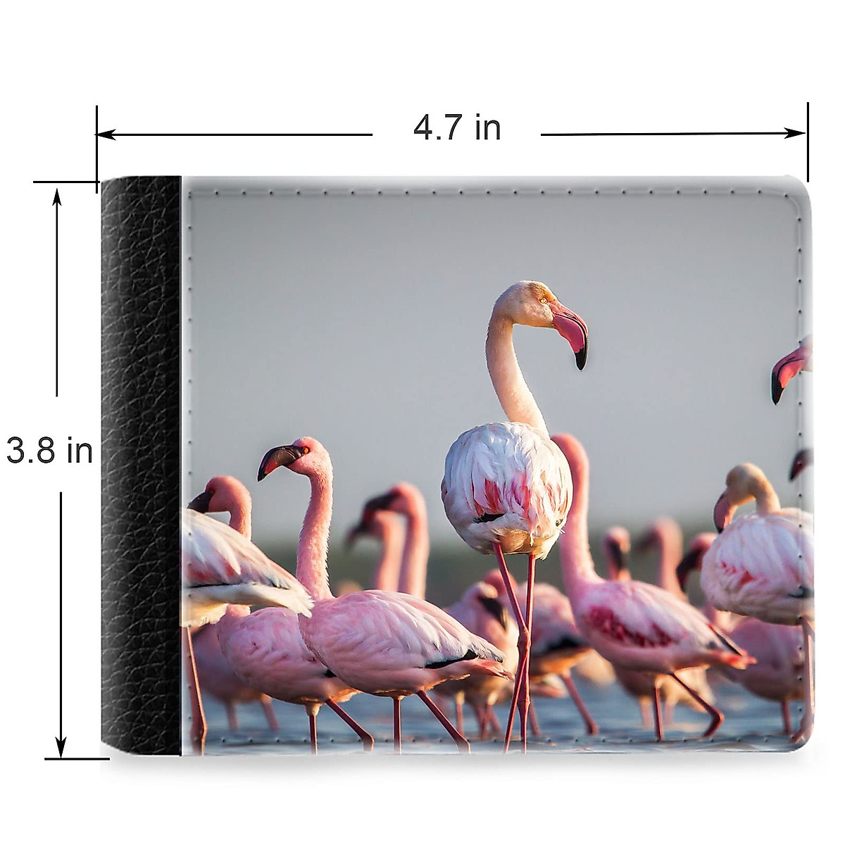 Unique Desige Pattern - Flamingo in Lake, Slim Front Pocket Wallet Billfold RFID Blocking
