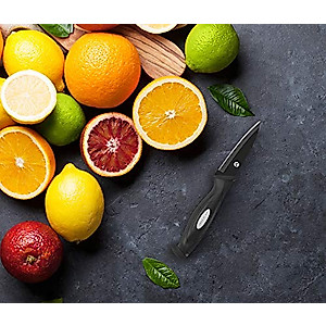 Vremi 10 Piece Black Knife Set - 5 Kitchen Knives with 5 Knife Sheath Covers - Chef Knife Sets with Carving Serrated Utility Chef's and Paring Knives - Magnetic Knife Set with Matching Black Case