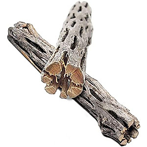 JOR Hermit Crab Log Woods, 5” Inches Long, Climbing Wood, Chew Toy, Stimulating Activity for Little Climbers, Long Dried Terrarium Décor Adds Raw Beauty, 2 Pieces