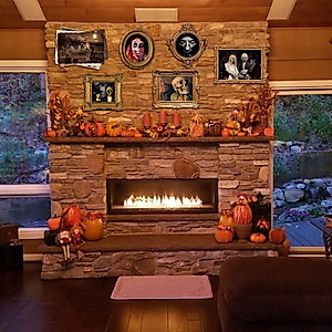 Ioffersuper 14Pcs Haunted Pictures Gothic Mansion Portraits Horror Pictures Frame 3D Face Expression Scary Picture for Haunted House Home Halloween Party Decor, with 100Pcs Self Adhesive Dots