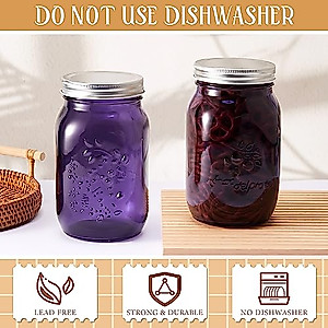 Tessco 12 Pieces 16 oz Colored Mason Jars with Lids Glass Regular Mouth Pint Canning Containers Kitchen Canisters for Food Storage, DIY Crafts, NOT Allowed Dishwasher (Purple)