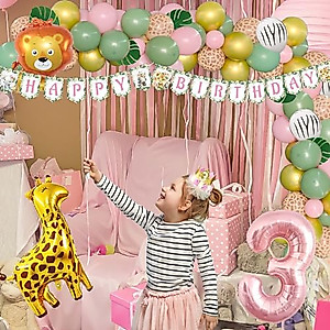 Fiesec Young Wild and Three Decorations Girl, Jungle Safari Animal Theme 3rd Party Decorations Backdrop Balloons Banner Cake Cupcake Topper Poster Crown Lion Cheetah Giraffe Pink 119 PCs