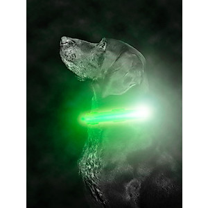 Mighty Paw LED Dog Collar - USB LED Rechargeable - USB Rechargeable Light - High Visibility Glow Strips - Glow Pet Weather Resistant - Enhanced Nighttime Visibility - Light Up Dog Collar - (L, Green)