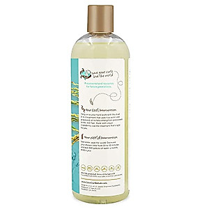 Curl Rehab Length Retention/Strength Treatment 2 in 1 Shampoo Conditioner (3 Pack), Enriched with Rice Water & Grapeseed, For Hair Growth, Protection & Frizz Control, 16 Oz