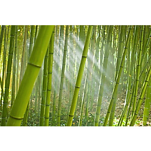 ROYALHOUSE Bamboo Cutting Board,Set of 3, Wood Chopping Board Set, Kitchen Cutting Board