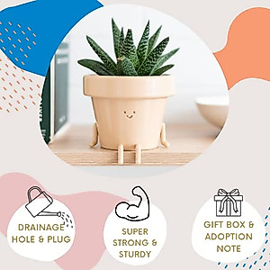 Sitting Indoor Plant Pot, Unique Cute Plastic Flower Pot with Face, 3.5 Inch Succulent/Cactus Gift Planter with Drainage Hole, Decorative Plant Pot, Novelty Planter (1x Sitting Pot)