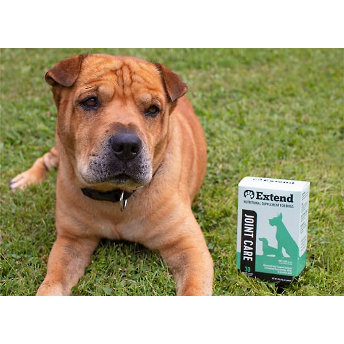 Extend - Joint Care for Dogs - 1 Month Supply - Glucosamine for Dogs with MSM & Ascorbic Acid - Pure Grade Ingredients.