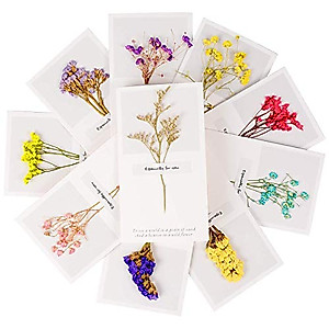 Andy Anand Red Velvet Cheesecake 9" Fresh Made in Traditional Way, Amazing-Delicious-Decadent & Greeting Card, Birthday Valentine, Christmas, Mothers Fathers day, Anniversary Gourmet Food (2 lbs)