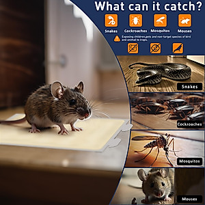 Landisun mouses Traps pests Traps Insect Traps Sticky Glue Traps Bug Traps Mosquitos Traps Adhesive Non-Toxic Traps(12pack)