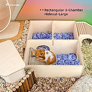 Niteangel Small Animal Sand-Bath Box - Acrylic Critter's Sand Bath Shower Room & Digging Sand Container for Hamsters Mice Lemming Gerbils or Other Small Pets (Fan-Shaped, Transparent)