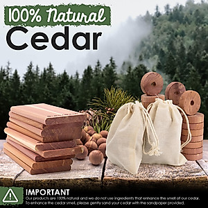 ecoKiwi Cedar Blocks for Clothes Storage Super Bundle Box - Cedar Hangers x10, Balls x30 & Rings x28-100% Natural Oil Planks & Chips for Closets & Drawers - Aromatic Red Cedar Wood with Sandpaper