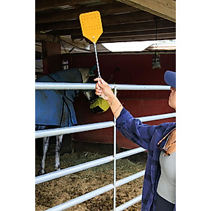 Insectifuge Leather Fly Swatter 2 Pack with 5 Window Fly Traps - Heavy Duty Fly Swatter Manual, Retractable Fly Swatter for Indoors Outdoors, Large Fly Swatters Multi Pack Long Handle, MATA Moscas