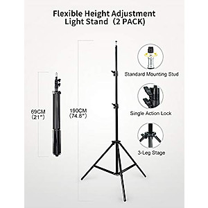 RALENO 2 Packs LED Video Light and 75inches Stand Lighting Kit, CRI 95+ Photography Lighting with 8000mAh Built-in Battery & LCD Display, Studio Lights for TikTok, YouTube, Live Streaming, Videography