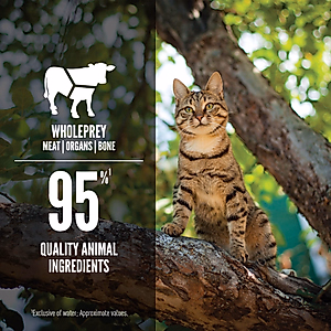 ORIJEN Adult Regional RED Entree in Bone Broth Wet Cat Food, Fresh and Raw Animal Ingredients, 3 oz (Case of 24)