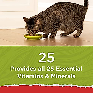 Purina Cat Chow Naturals With Added Vitamins, Minerals and Nutrients Dry Cat Food, Naturals Original - 13 lb. Bag