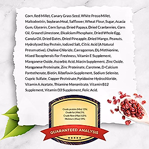 LAFEBER'S Fruit Delight Avi-Cakes Pet Bird Food, Made with Non-GMO and Human-Grade Ingredients, for Parrots (8 oz Pack of 1)