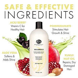 Paul Brown Hawaii Resurrect Salon Quality Conditioner | Hydrate & Treat Damaged Hair | Antioxidant-Rich Kukui Nut Oil for Ultimate Hair Moisturization | Safe for Color Treated Hair (33 oz.)