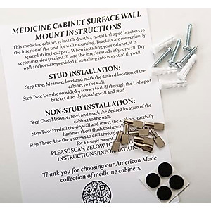 BrandtWorks Framed Medicine Cabinet, Black