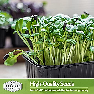 Survival Garden Seeds Sunflower Microgreens for Sprouting and Growing - Seed to Sprout Green Leafy Micro Vegetable Plants Indoors - Grow Your Own Mini Windowsill Garden - Non-GMO Heirloom Variety