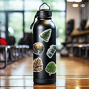 Pack 50 pcs Nature Forest Stickers for Water Bottles Waterproof Laptop Luggage Computer journaling Scrapbooking Teens Adults Women Funny Aesthetic Sticker Packs Small Vinyl Decals