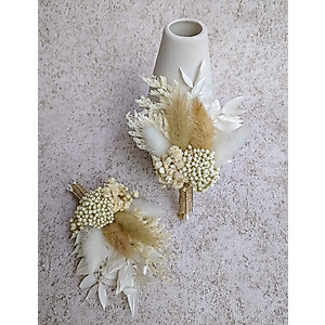 Dried Flowers Boutonnieres Set of 2 for Men Boho Fall Wedding Grooms Buttonhole Rustic Best Man Pampas Grass Dry Flower Decoration (Beige)