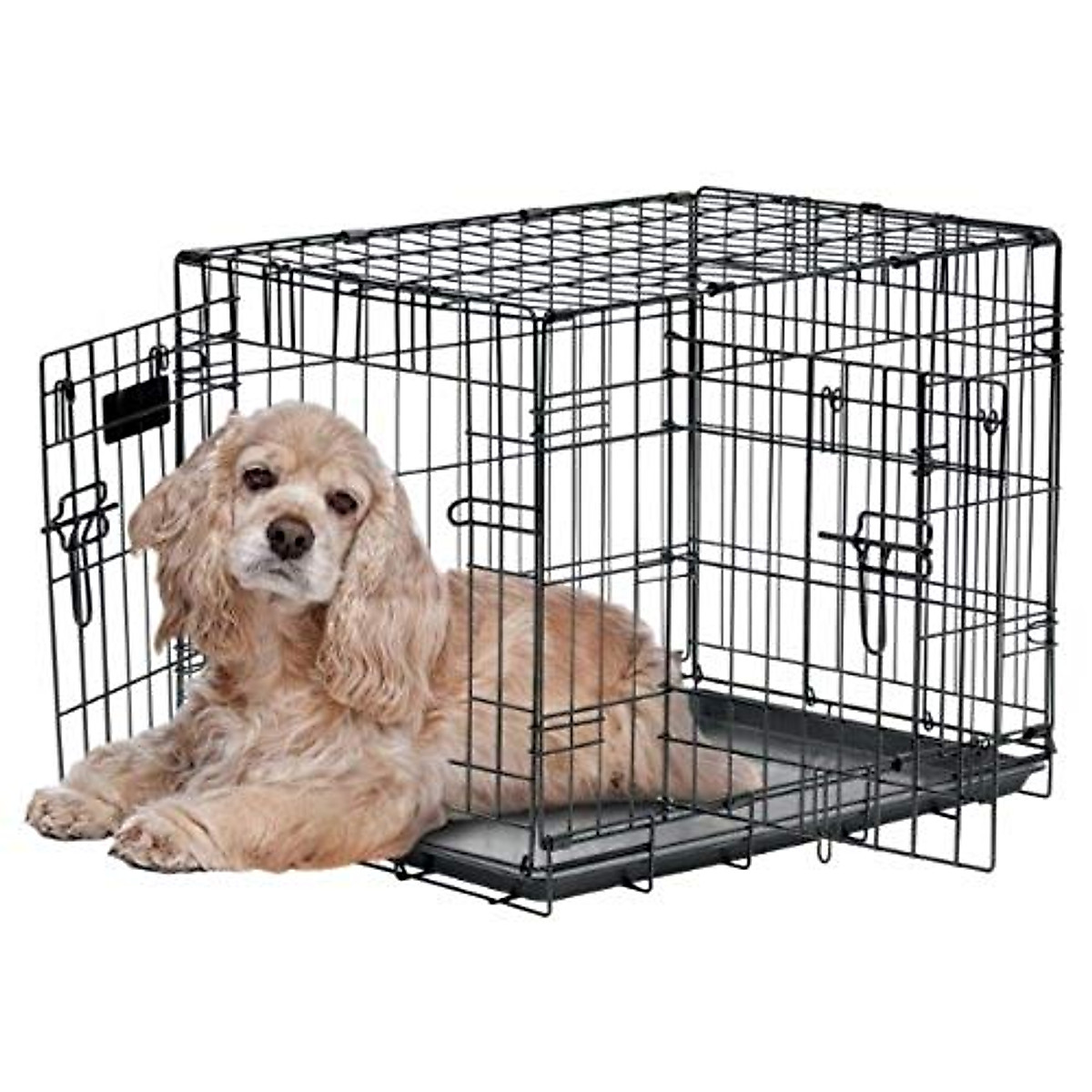 Precision Pet Products Two Door Provalue Wire Dog Crate, 24 Inch, For Pets 15-30 lbs