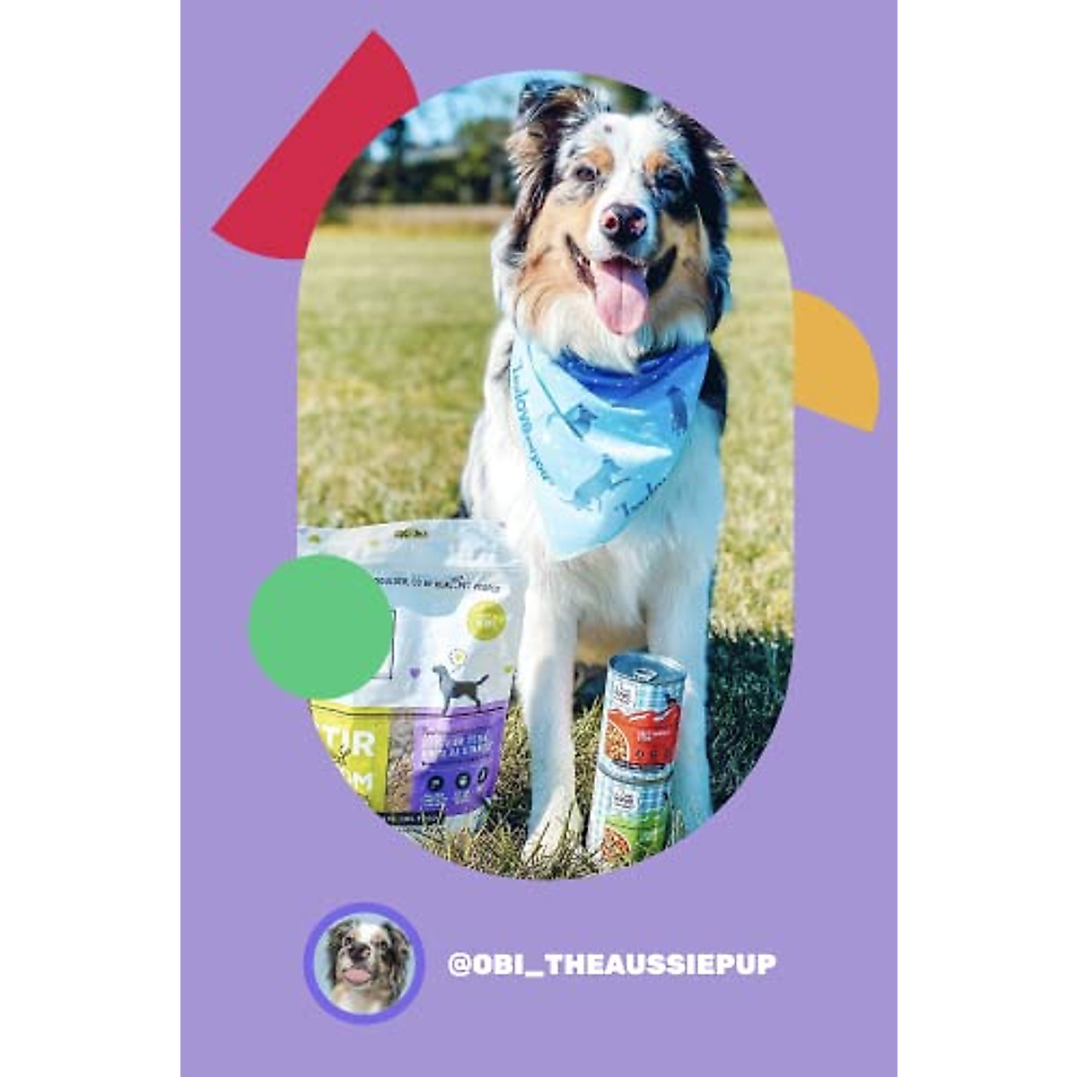 I AND LOVE AND YOU Wet Dog Food - Gobble It Up Stew - Turkey Recipe, Grain Free, Filler Free 13oz can, 12pk