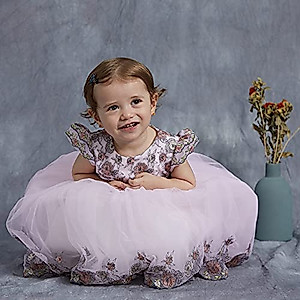 TENTIDE Baby Flower Grils Pink Dress Princess Pageant Rose Embroidery Layered Tulle Tutu Gown Dress 0-18M (Pink, 3-6 Months)