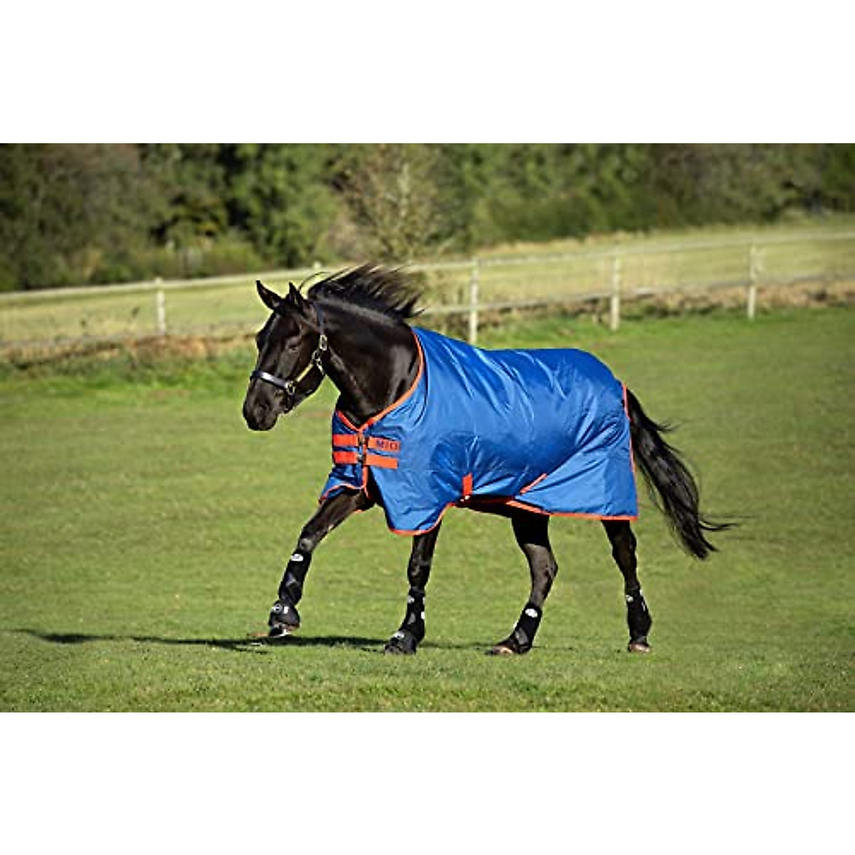 Horseware Mio Medium Turnout Blanket 72 Black