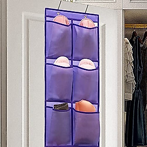 ANIZER Over The Narrow Door Shoe Organizer Hanging 6 Large Fabric Pockets Back Door Shoe Holder for Closet with 2 Hooks (PURPLE)
