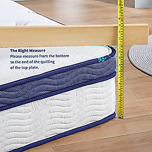 Olee Sleep 12 Inch Midnight Euro Top Gel Memory Foam Spring Hybrid Mattress, Mattress In a Box, CertiPUR-US Certified, Queen