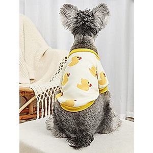 QWINEE Dog Shirt Cute Dogs T Shirt Sweatshirt Apparel Dog Clothes for Cat Kitty Puppy Small Dogs Yellow M