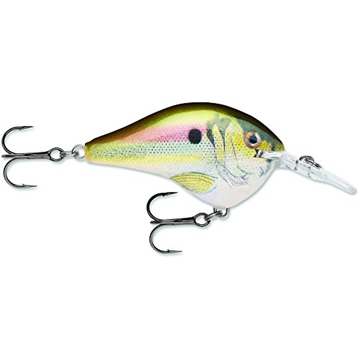Rapala Dives-to 06 Live River Shad Lure Multi