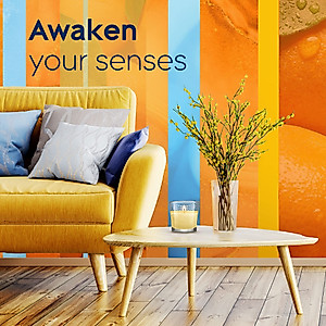 Glade Candle Jar, Air Freshener, Coastal Sunshine Citrus, 3.4 oz, 2 Count