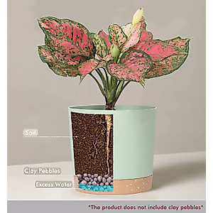 Kubvici 2 Pack 8 inch Planters