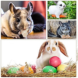 Himalayan Small Pets Lick Salt Block on Rope Natural Small Animal Mineral Salt Block Chew Toys with Hanging Rope Rabbit Mineral Salt Chew Treat Supplies for Bunny Chinchilla Hamster Ferret (8PCS)