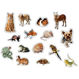 Carson Dellosa Pets: Photographic Shape Stickers (168011)