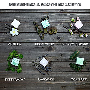 Aromatherapy Shower Steamers, Variety Pack of 12 Shower Bombs, Natural Scented Marble Shower Tablets, Birthday, Relaxing Gift Ideas for Women & Men, Essential Oil Bath Bomb Eucalyptus & More