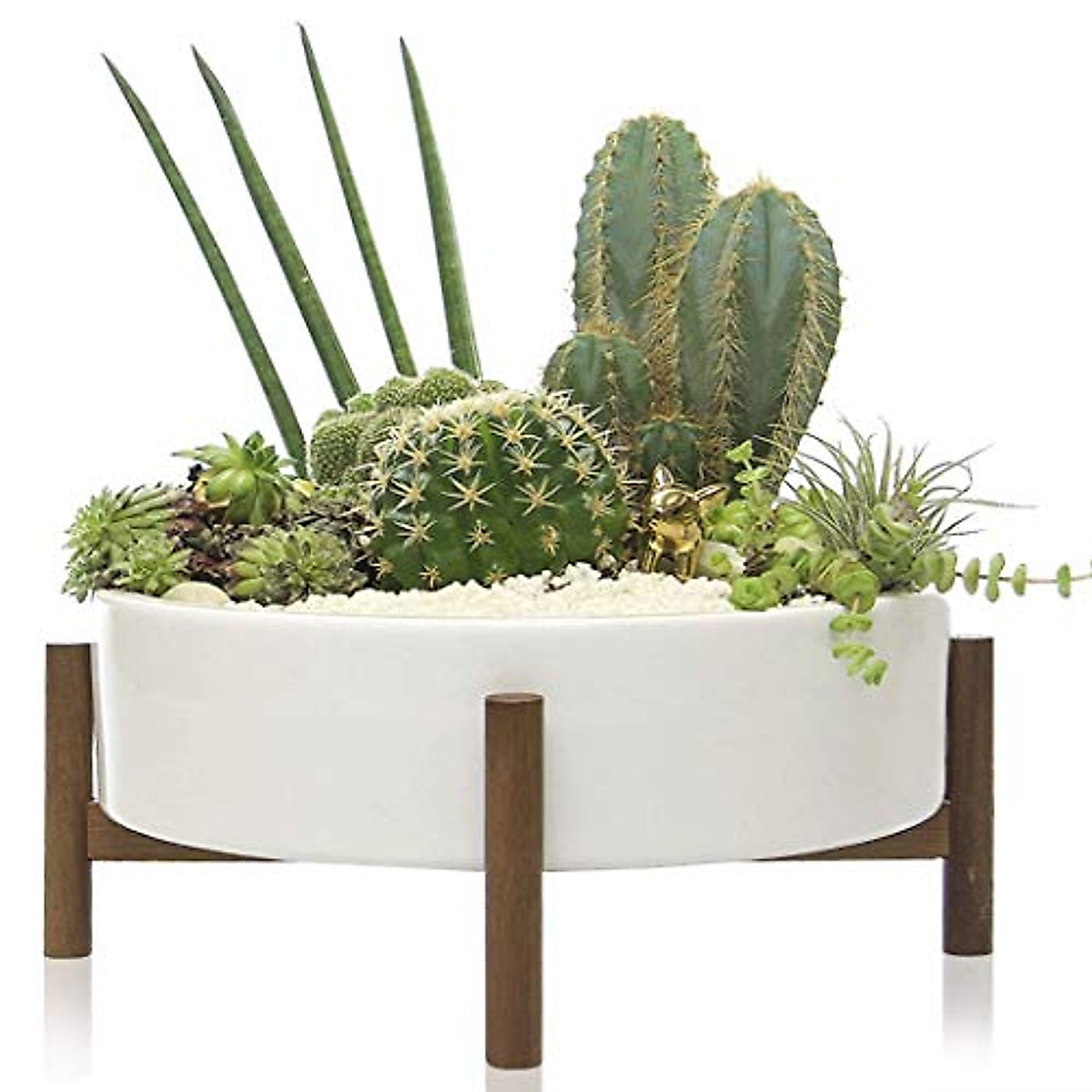 kimisty 10 Inch Succulent Planter, Large Round Bowl with Drainage, Mid Century White Ceramic Pot with Wood Stand, Succulent Garden Shallow Pot, Tabletop Centrepiece, Includes Gift Pack